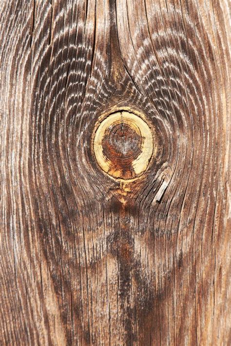 Wood Patterns Picture Image 2893656