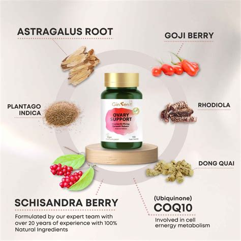 Ovary Support By Ginsen Ovarian Health Supplements For Ttc