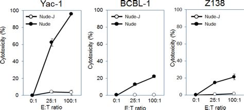 Establishment Of Nude Mice Lacking NK Cells And Their Application For Human Tumor Xenografts PMC