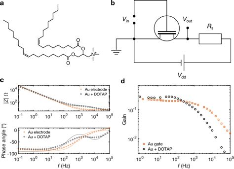 Experimental Investigation Of Oect With Slb On Gold Gate A Dotap
