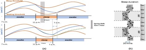 Improving Adjustment To Daylight Saving Time Transitions With Light