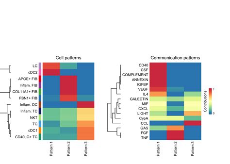 Cellchat V2 教程 1：使用 Cellchat 推理和分析细胞间通信 Csdn博客