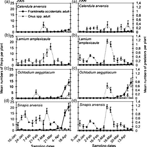 Infestation Levels Of Adult Frankliniella Occidentalis And Orius Spp