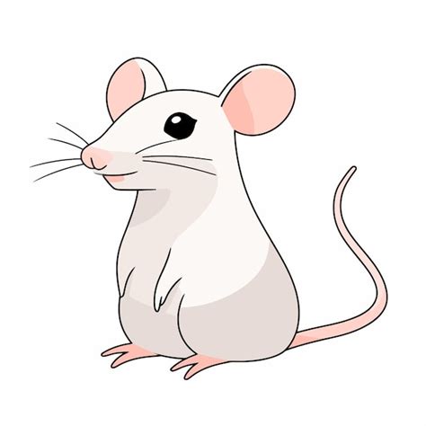 Premium Vector Rat Cute Vector