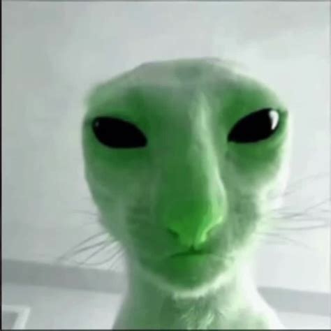 Green Alien Pfps And Icons For Discord Instagram And Tiktok