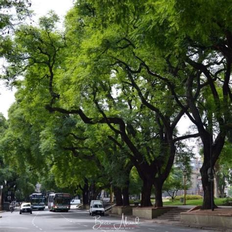 The 9 Best Parks In Buenos Aires A Local Expats Favorites