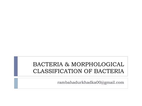 Morphological Classification Of Bacteria Pptx Biological Sciences