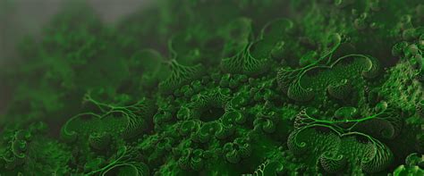 Louis Pasteur His Research Saved The Lives Of Millions Dr Rath