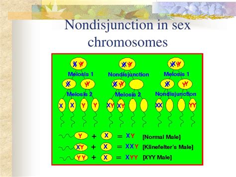 Ppt Errors In Genes And Chromosomes Powerpoint Presentation Free