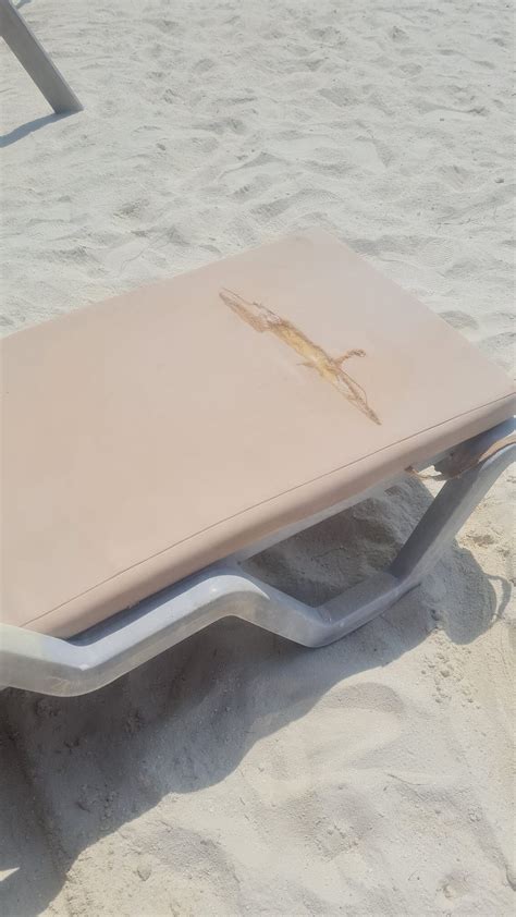 Cocogiri Island Resort Maldives Updated 2025 Prices And Reviews Vashugiri