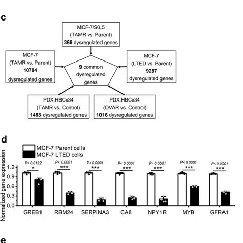 Screening Of Candidate Genes Responsible For Endocrine Resistance In