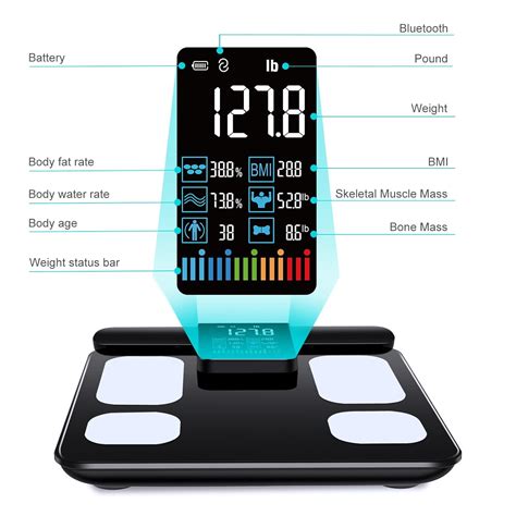 Kuaivo 8 Electrode Smart Body Fat Scale With Bmi Body Fat India Ubuy