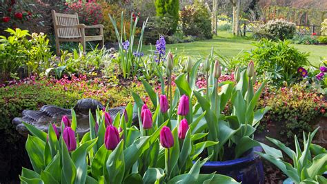 Nombres De Plantas Para Jardineras
