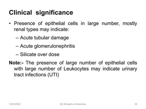 Microscopic Examination Of Urine Sediments Ppt Geology Science