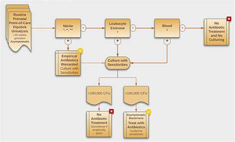 Implementation Of An Algorithm For Testing Diagnosis And Antibiotic