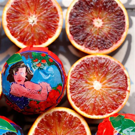 Luxurious Inventive Frozen Delights Ruby Violet Ice Cream And Sorbet