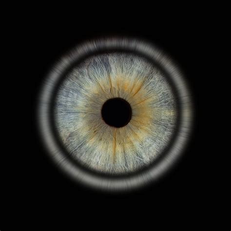 Iris Effects The Iris Photographer