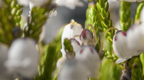 Compassion Empathycommunication When Nature Calls With Helen