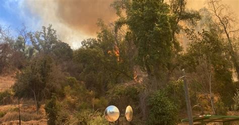 Incendio Forestal Senapred Llama A Evacuar Sector De La Comuna De La