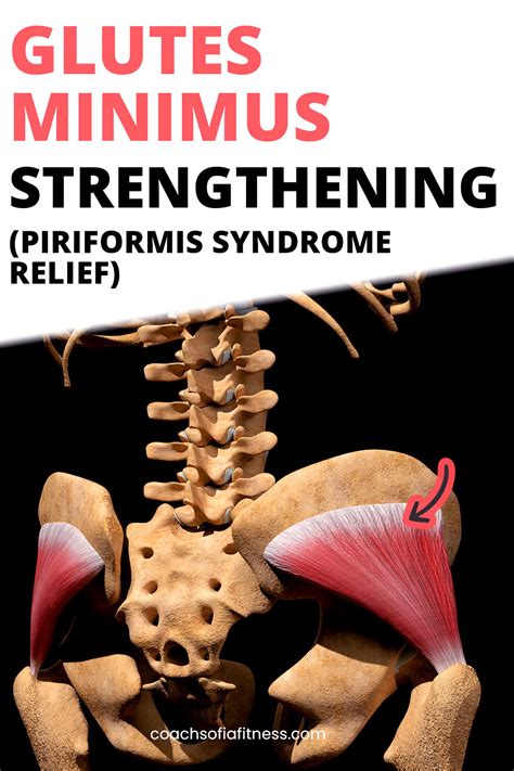 14 Powerful Gluteus Minimus Exercises For Stronger Glutes Artofit