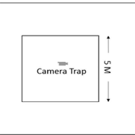 Vegetation Analysis Plots Download Scientific Diagram