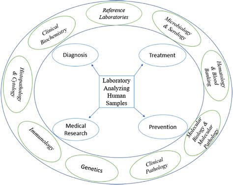 A Comparative Review Of Icmr Who And Ema Guidelines For Good Clinical