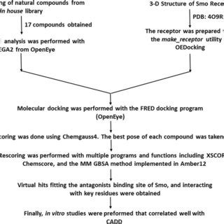 Graphical Representation Of CADD In Drug Design Download Scientific Diagram