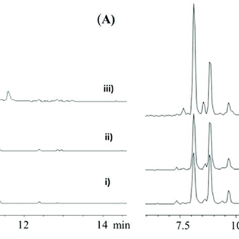 Hplc Dad Ms Analysis Of I Saffron Stigmas Ii Commercial Saffron