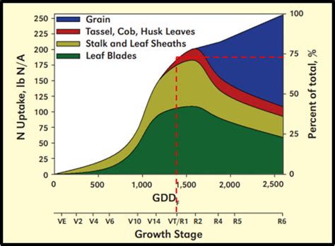 Rescue Nitrogen For Corn In Iowa Is It Too Late In 2025 Integrated Crop Management