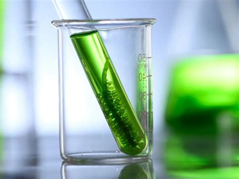 30 Facts About Crabtree And Evelyn Ohmyfacts