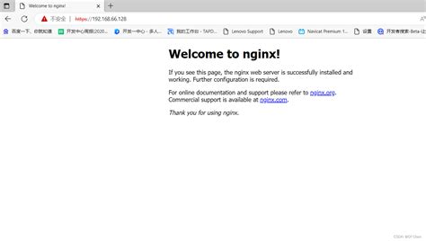内网自制无需密码的SSL证书 适用与IP或者localhost