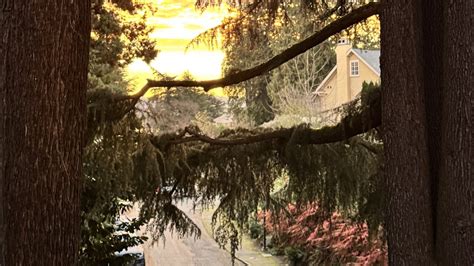 Principal Engineer Roles Framework