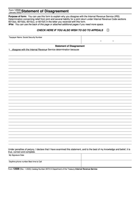 Fillable Form 12509 Statement Of Disagreement Printable Pdf Download