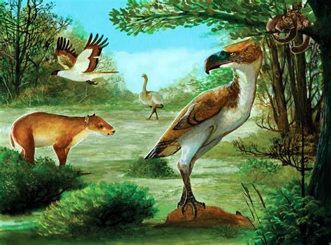 Giant Terror Birds Were Apex Predators Of Eocene Period Antarctica