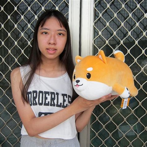 婷芳小舖~趴趴狗娃娃~柴犬娃娃柴犬玩偶 柯基犬 柯基 娃娃 小狗娃娃 小狗玩偶~小狗抱枕生日情人禮物~全省配送 Yahoo奇摩拍賣