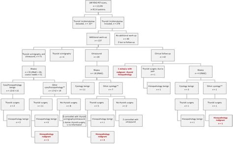 Flowchart Of Patients With Thyroid Incidentalomas Previous Download Scientific Diagram