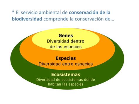 Pdf Una Herramienta Para El Manejo Y La Conservación De … · Y