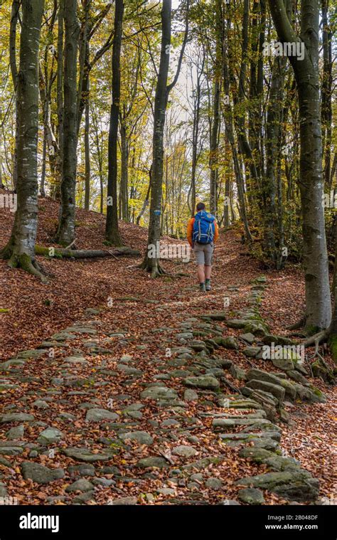 Tuscany Another Stretch Of Roman Paving In The Woods Just Before The