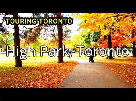 High Park Toronto Oct 2020 Fall Foliage Autumn In High Park Toronto