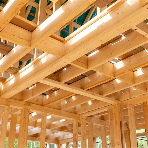 Timber Trade