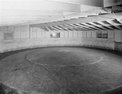 New For 2025 Carousel Candy Peacock Parlour And The District Page