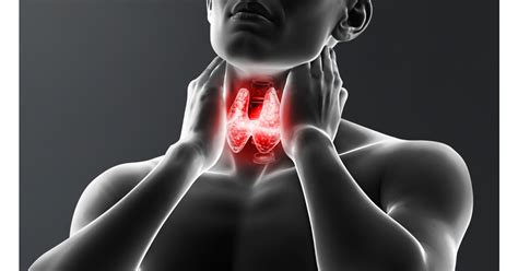 Autoimmune Thyroiditis Hashimotos Greespi And Nutrient Deficiencies A Detailed Guide