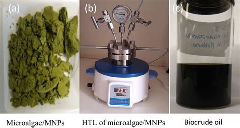 Illustration Of The Htl Of Magnetically Separated Microalgae To Produce