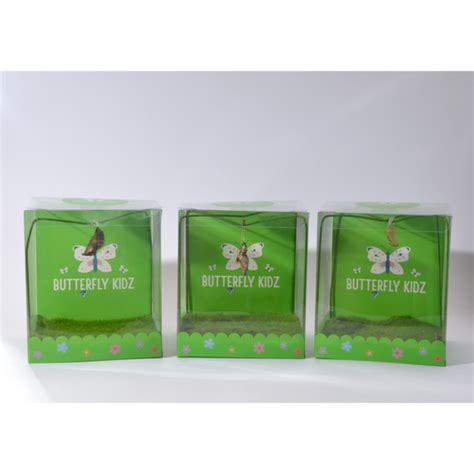 Hatching Kits Hatch Your Own Real Butterfly