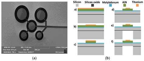 a piezoelectric micromachined ultrasound transducers pmut array for