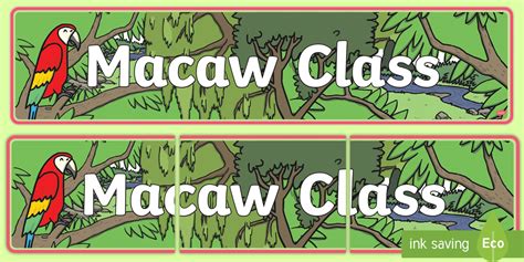 👉 Macaw Class Display Banner Teacher Made Twinkl