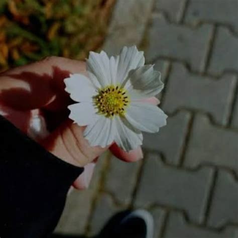 Arshiya˚˖𓍢ִ໋🦢 Arshiya07075 • Threads Say More