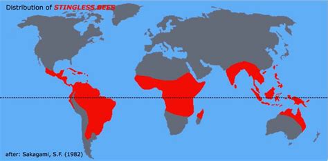 Distribution Of Stingless Bees 750×369 Pixels Stingless Bees