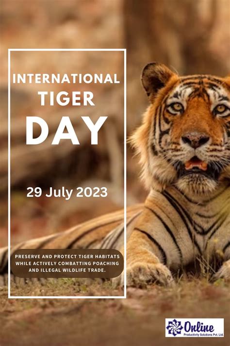 International Tiger Day 2024 What Is International Tiger Day July 29