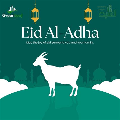 Hammad Sami Posted On Linkedin